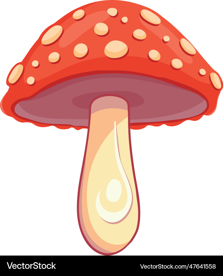 Red fungus design Royalty Free Vector Image - VectorStock