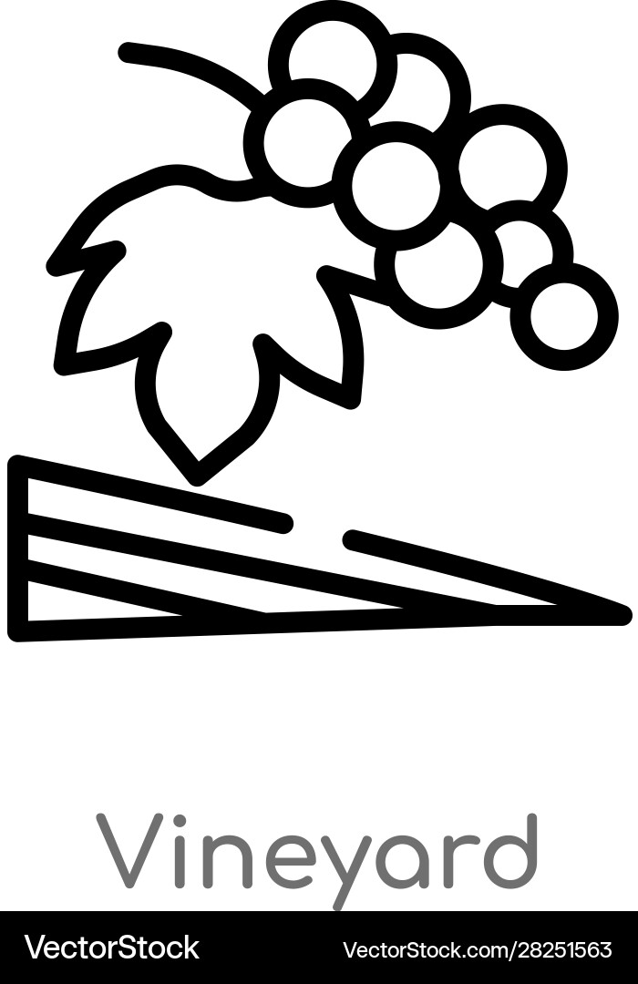 Outline vineyard icon isolated black simple line Vector Image