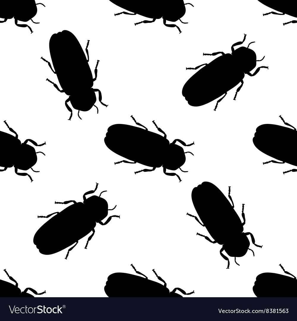 Seamless pattern with firefly beetle lampyridae Vector Image