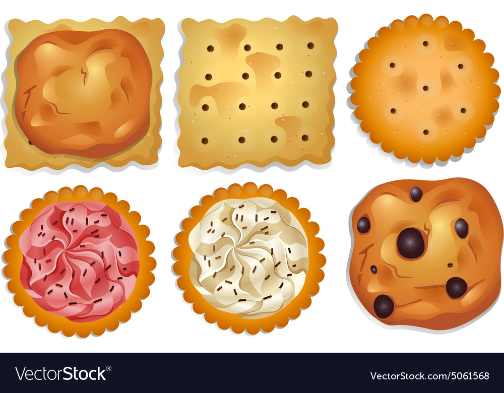 Cookies Royalty Free Vector Image - VectorStock