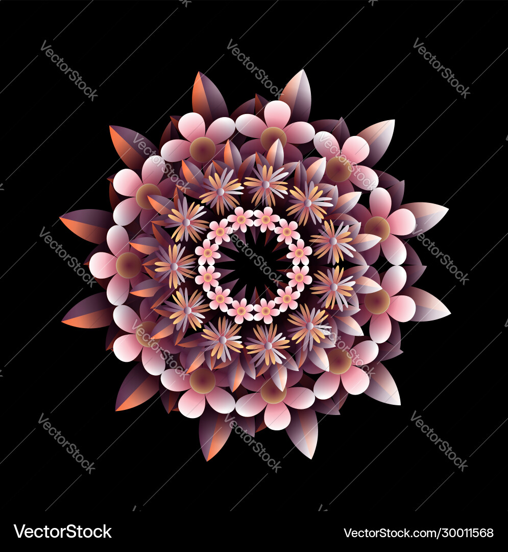 Radial floral ornament Royalty Free Vector Image
