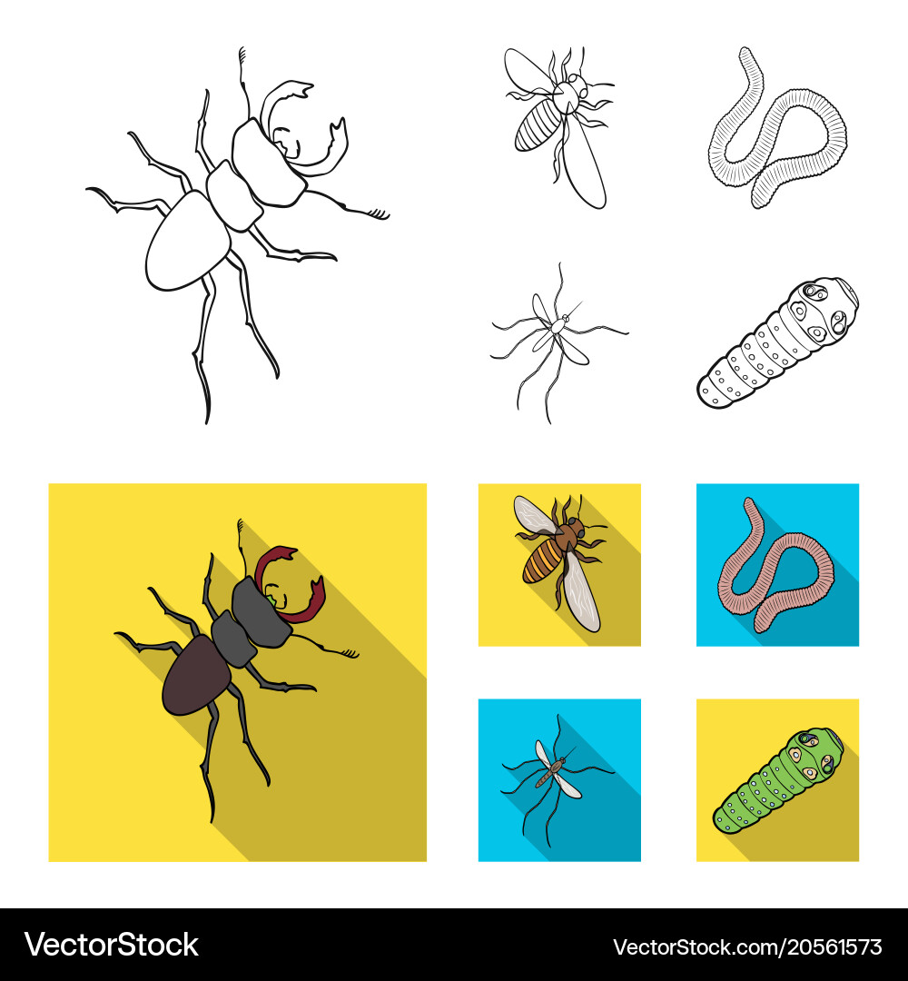 Arthropods insect mosquito beeearth worm Vector Image