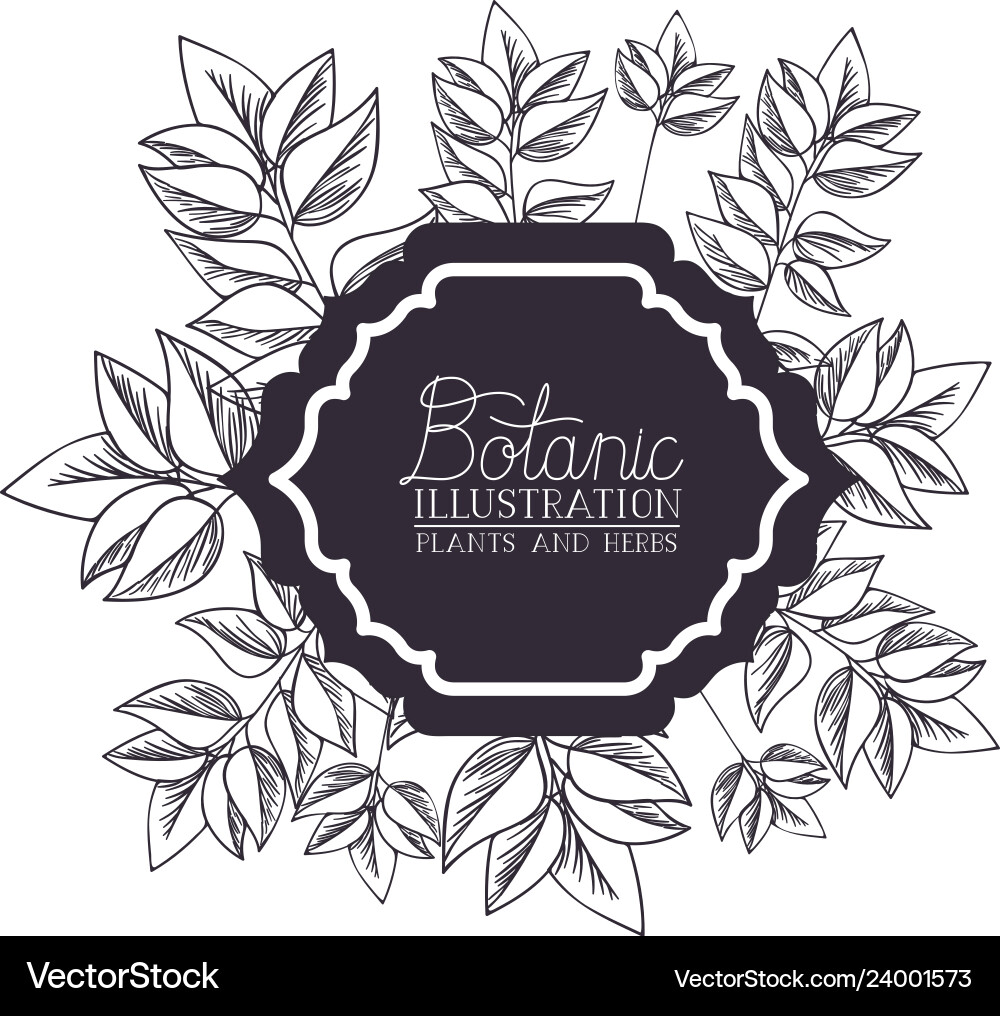 Botanic label with plants and herbs Royalty Free Vector
