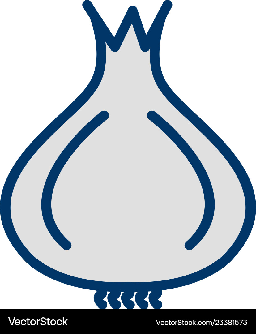Onion icon Royalty Free Vector Image - VectorStock
