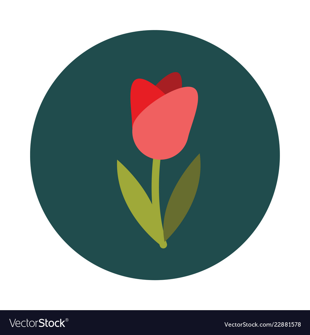 Flat spring flower on white background Royalty Free Vector