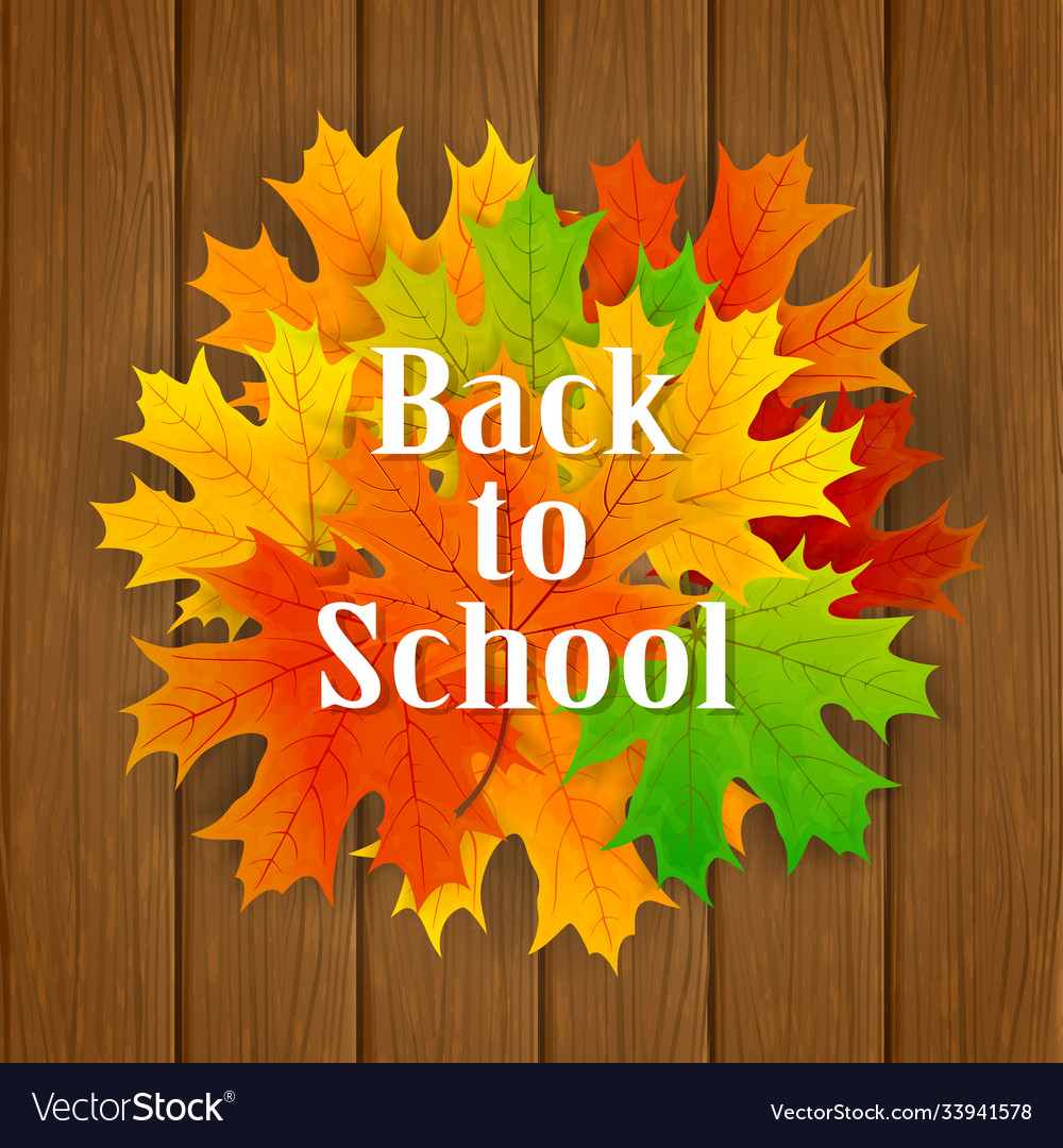 Inscription back to school and maple leaves Vector Image