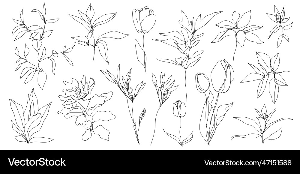 Set of hand drawn single continuous line Vector Image