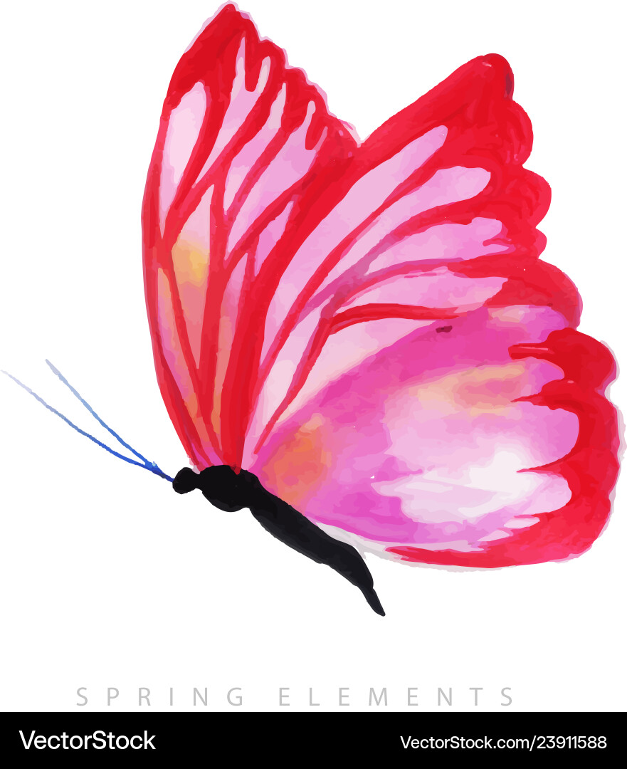 Watercolor spring butterfly collection Royalty Free Vector