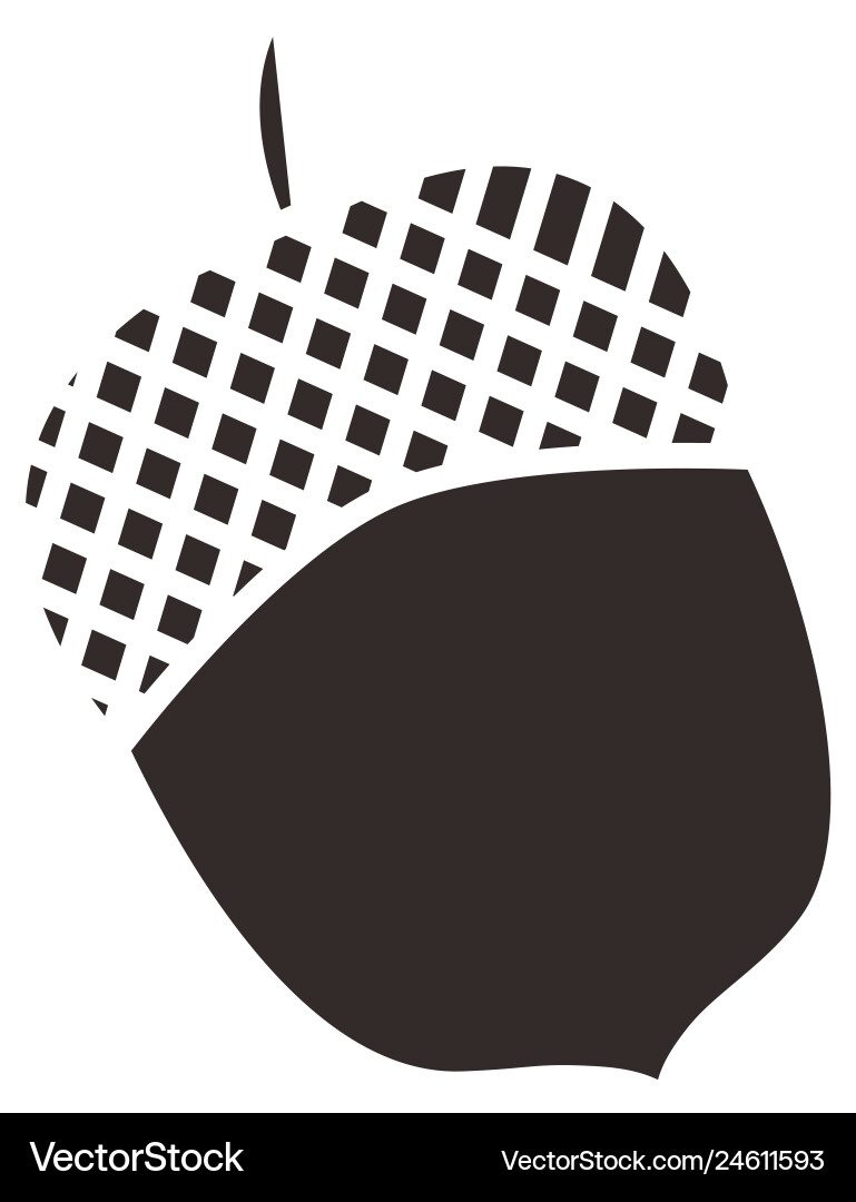 Acorn nut on white background Royalty Free Vector Image