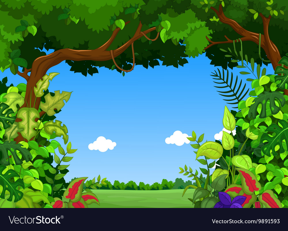 Forest background Royalty Free Vector Image - VectorStock
