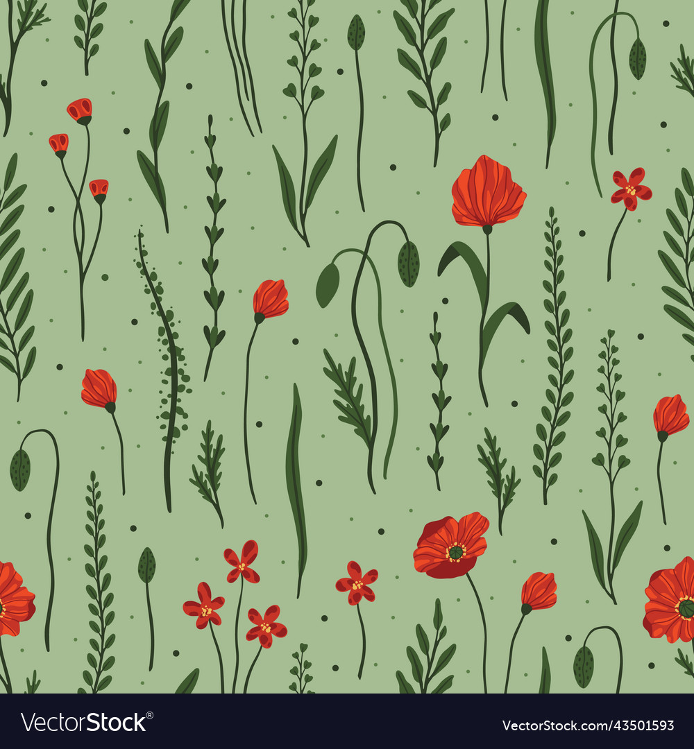 Seamless pattern with red poppy flowers design Vector Image