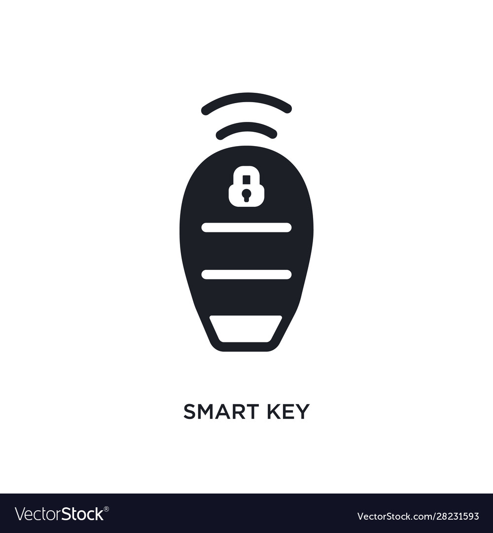Smart key isolated icon simple element from Vector Image