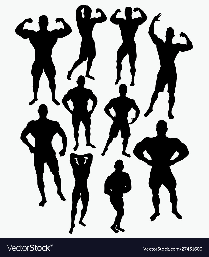 Male bodybuilders silhouette Royalty Free Vector Image