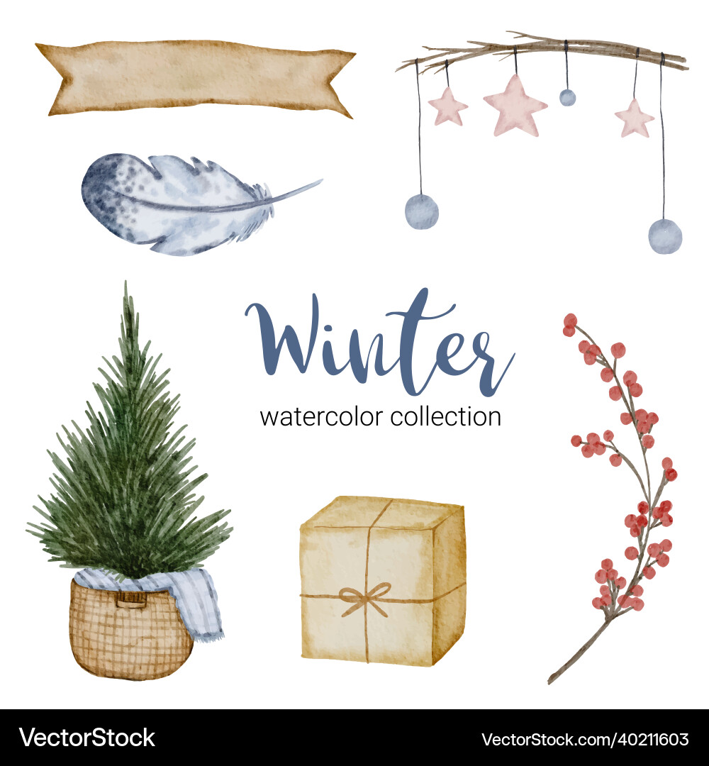 Winter watercolor collection with branches leaves Vector Image
