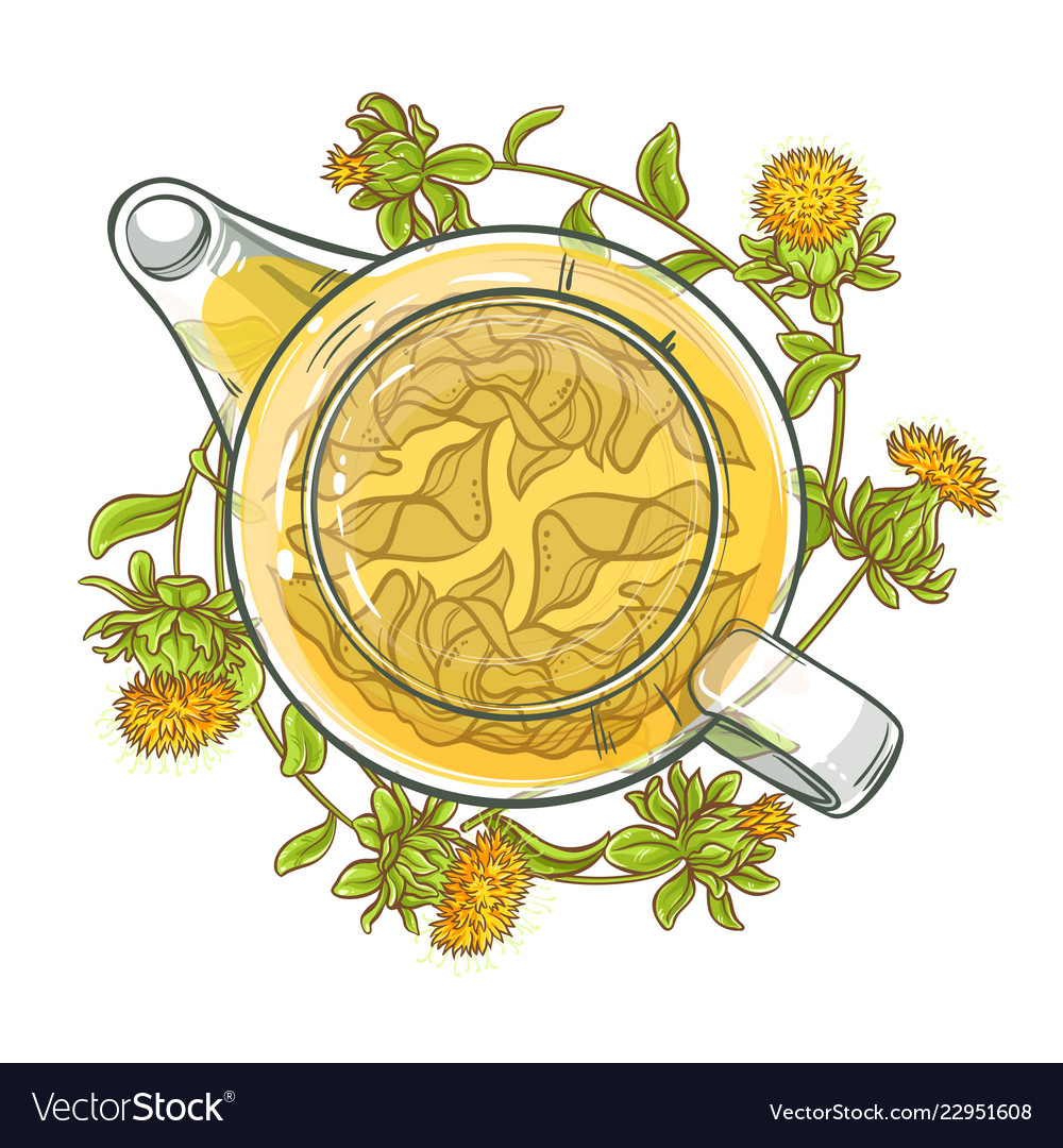 Safflower tea Royalty Free Vector Image - VectorStock