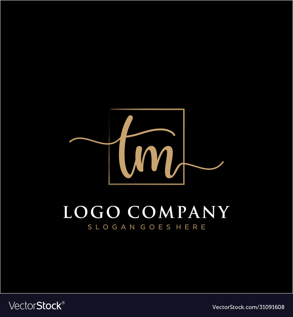 Tm initial handwriting logo with rectangle Vector Image