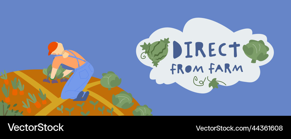 Young farmer working in allotment gardens Vector Image