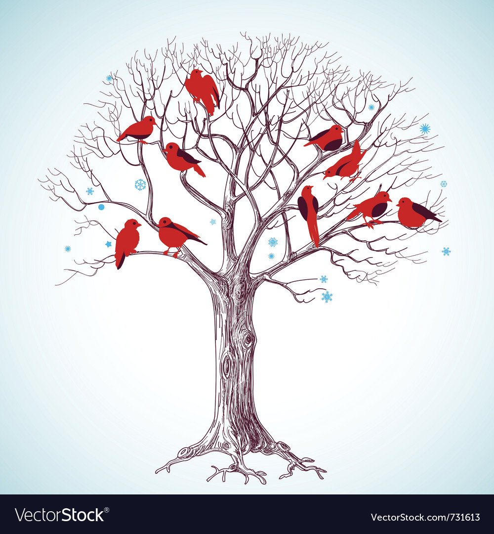 Birds tree Royalty Free Vector Image - VectorStock