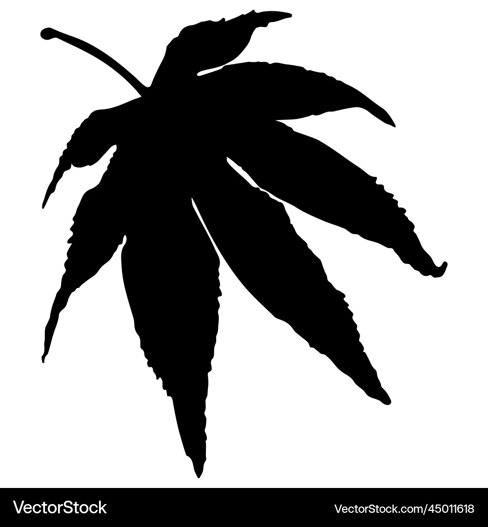 A black silhouette of leaf Royalty Free Vector Image