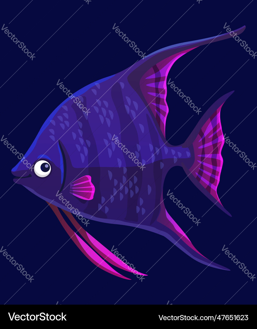 Aquarium angel fish isolated creature Royalty Free Vector
