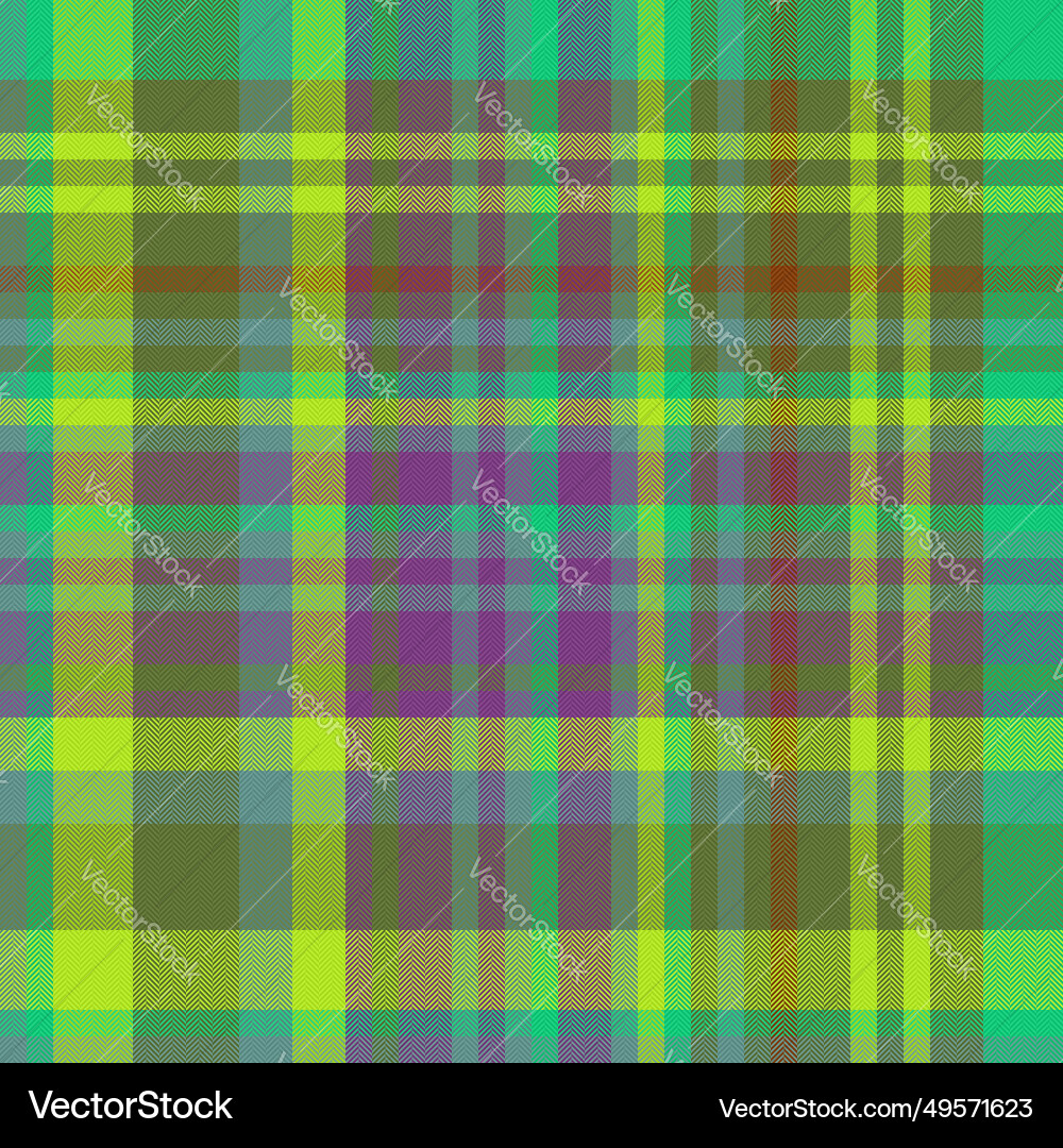 Check fabric textile of seamless background Vector Image