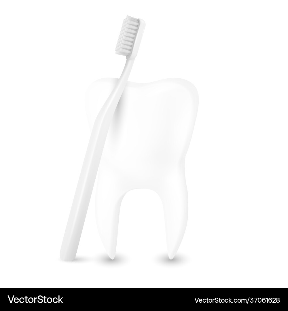 3d realistic toothbrush and tooth closeup Vector Image