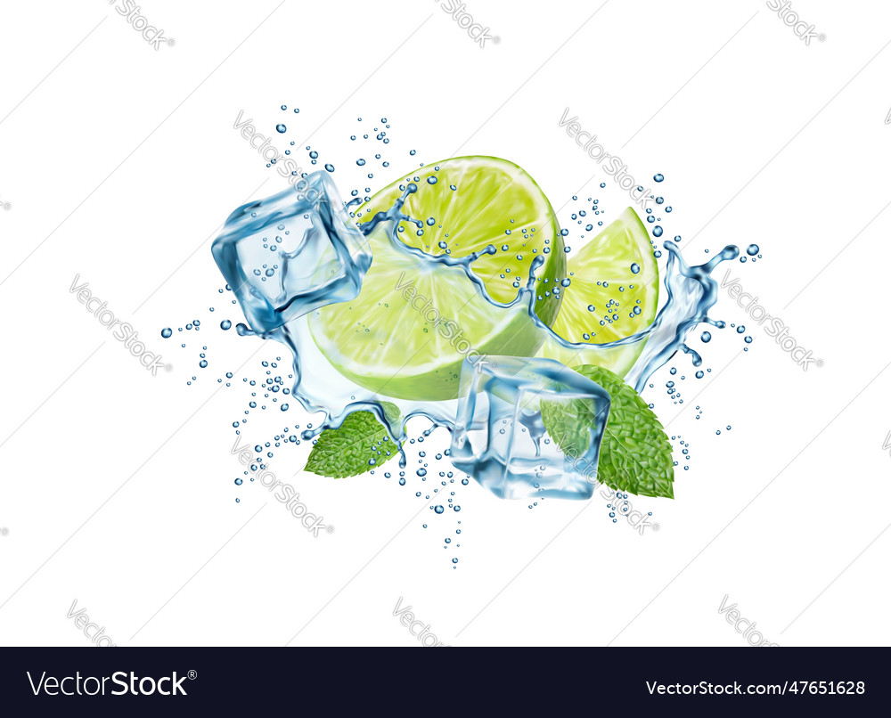 Mojito drink wave splash with lime ice cubes Vector Image