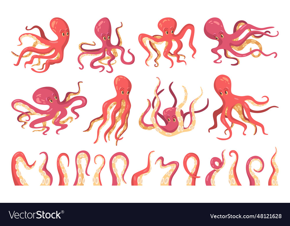 Octopus with tentacles kraken squid monster Vector Image Octopus with tentacles kraken squid monster Vector Image