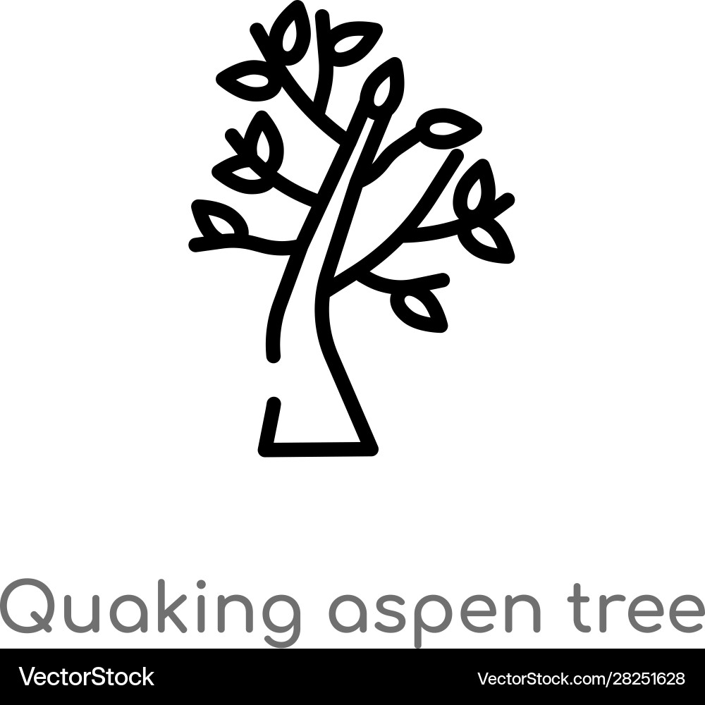 Outline quaking aspen tree icon isolated black Vector Image