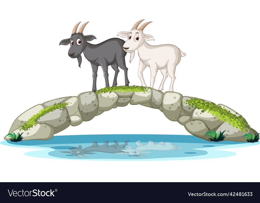 Black and white goats standing on stone bridge Vector Image