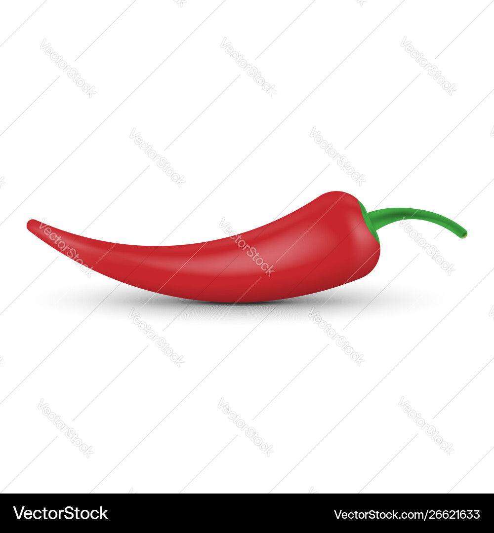 Realistic chili peppers isolated on a white Vector Image