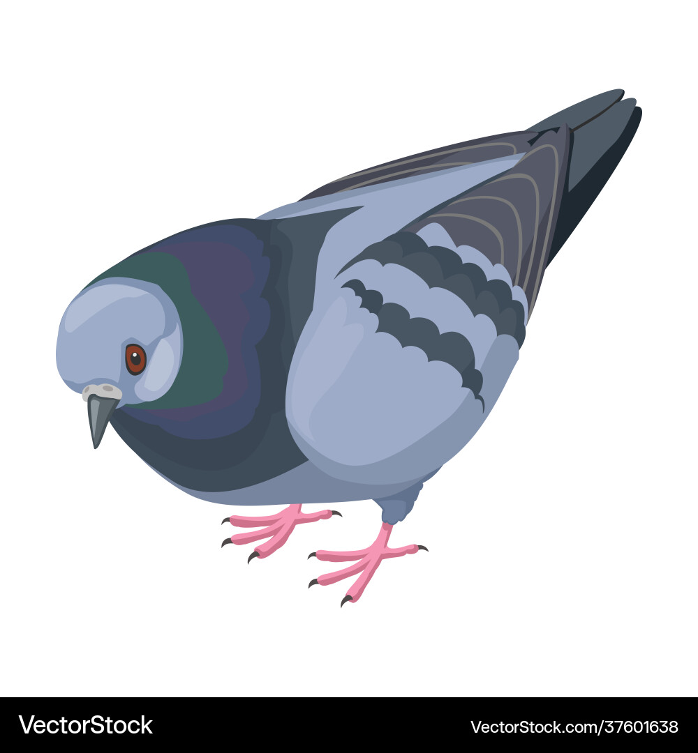 Dove iconcartoon icon isolated Royalty Free Vector Image