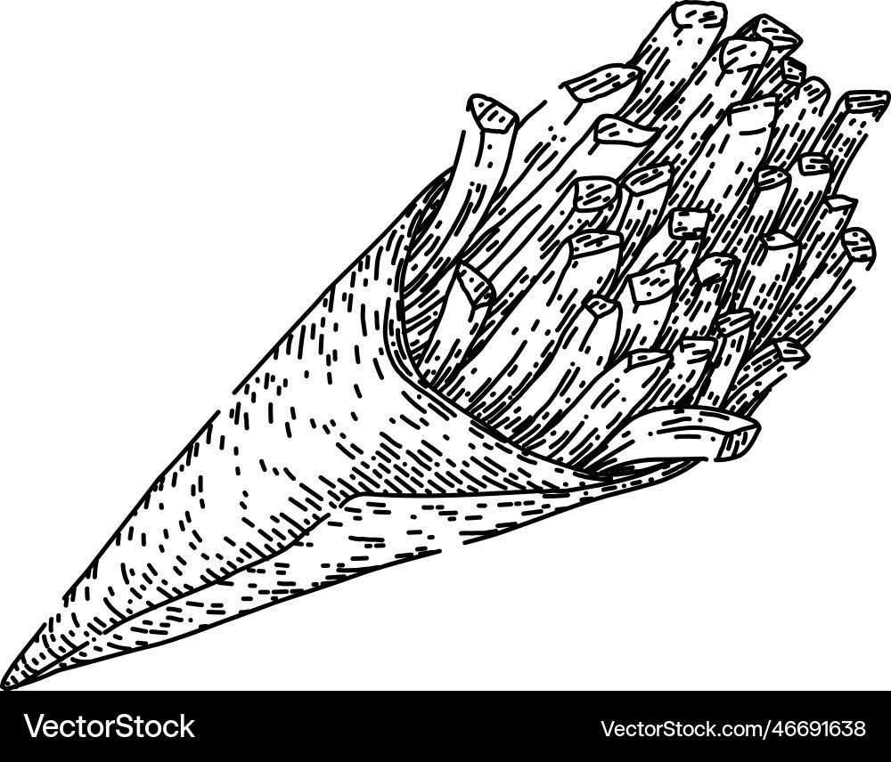 Potato free sketch hand drawn Royalty Free Vector Image