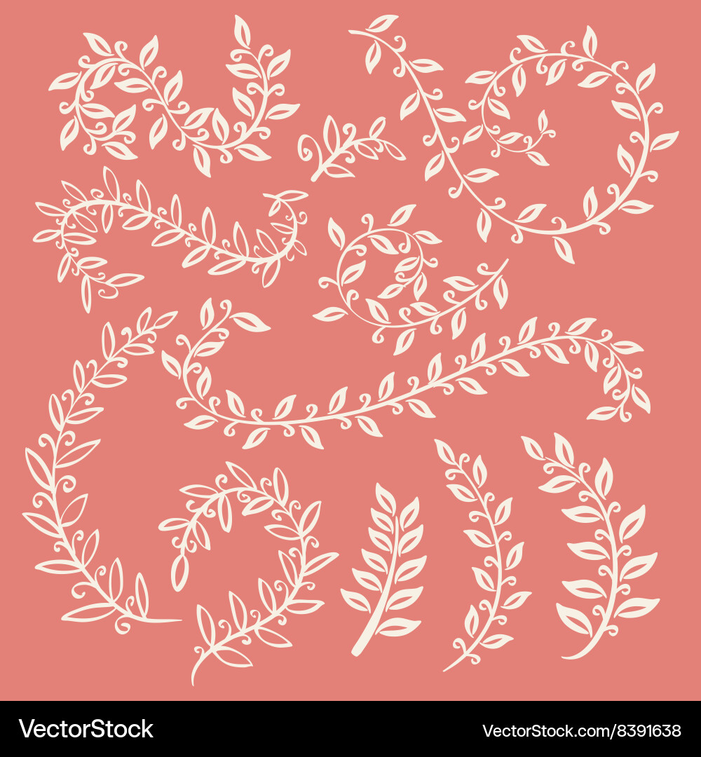 Set of leaves on pink background design elements Vector Image