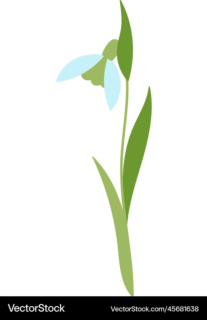 Snowdrop flower flat icon bloom stem and leaves Vector Image
