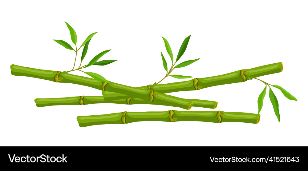 Background with green bamboo stems and leaves Vector Image