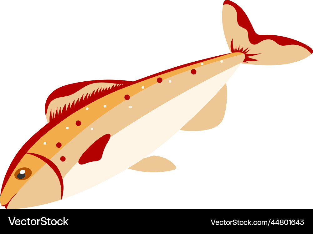 Isometric salmon Royalty Free Vector Image - VectorStock