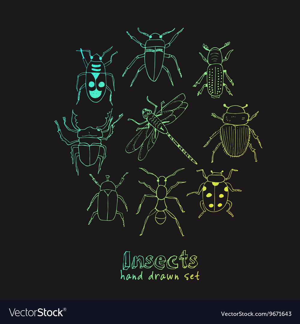 Set of doodle sketch bugs and beetles Royalty Free Vector