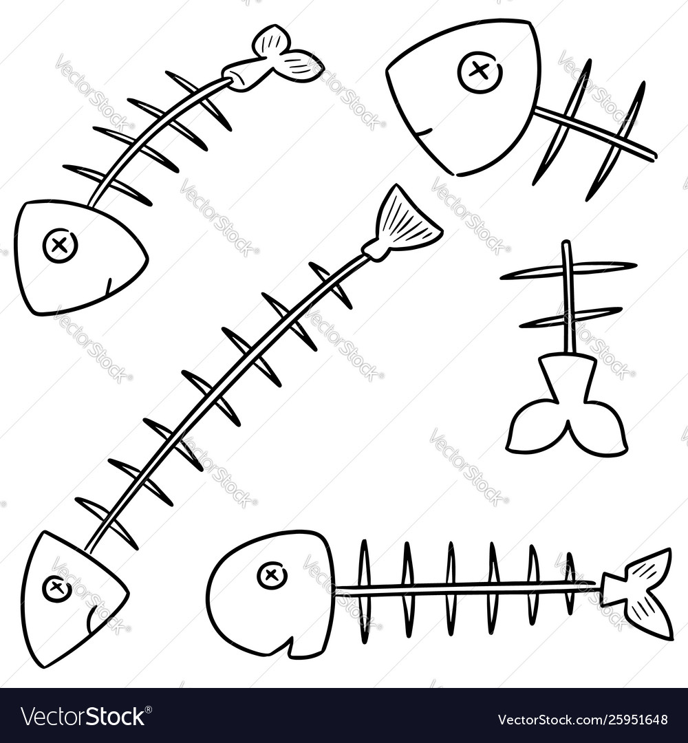 Set fishbone Royalty Free Vector Image - VectorStock