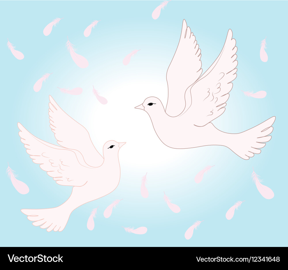 Two pigeons lovely flying in sky Royalty Free Vector Image