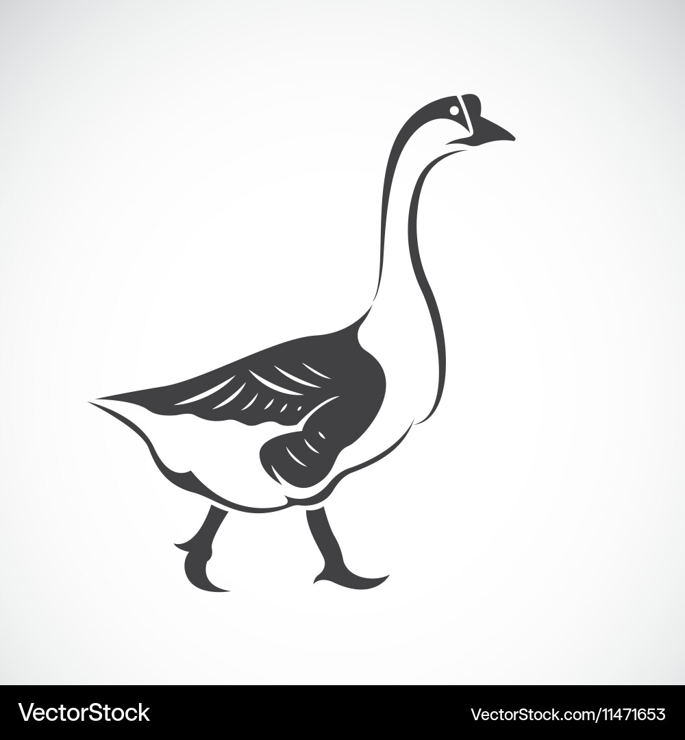 Image of a goose on white background Royalty Free Vector