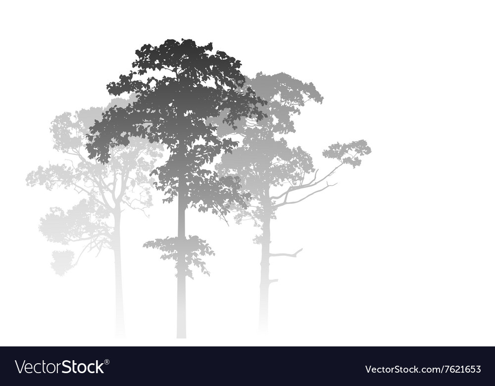 Misty forest landscape Royalty Free Vector Image