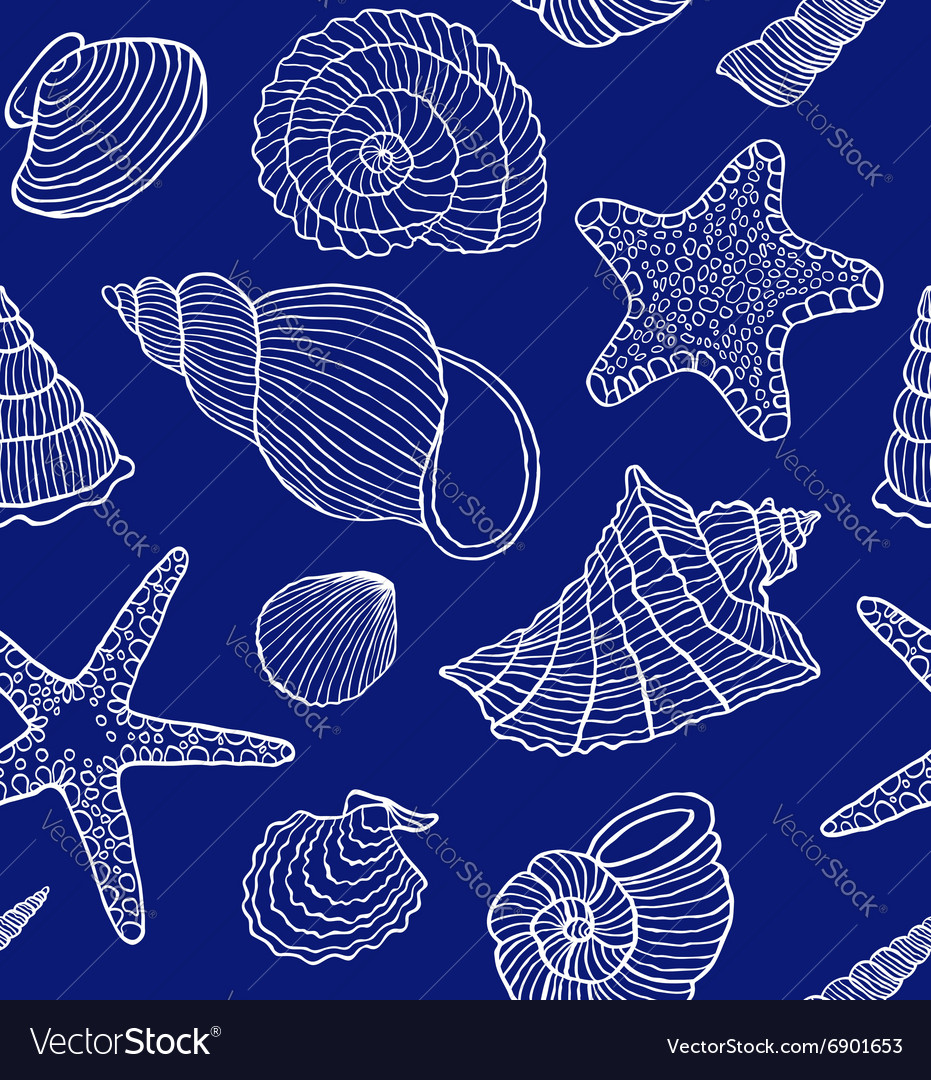 Ocean shells Royalty Free Vector Image - VectorStock