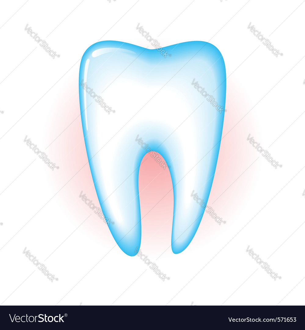 Tooth Royalty Free Vector Image - VectorStock