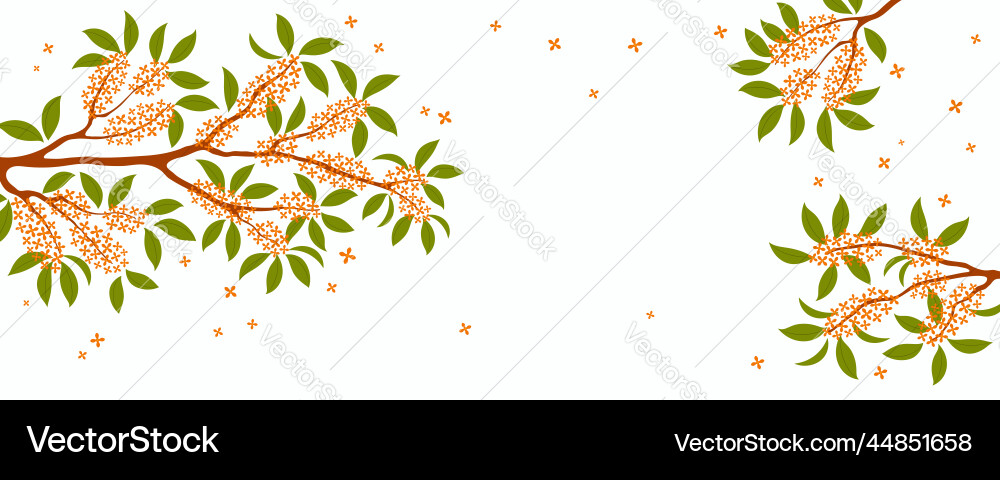 Asian background with osmanthus tree blossoms Vector Image