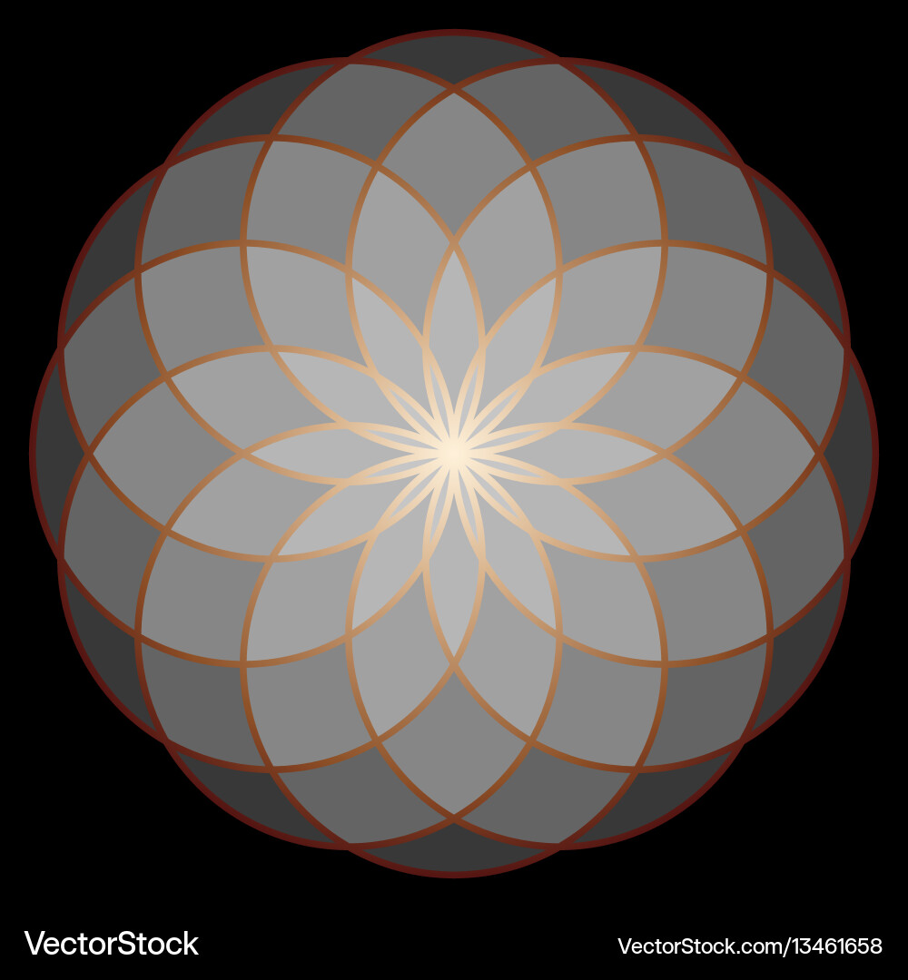 Flower life sacred geometry Royalty Free Vector Image
