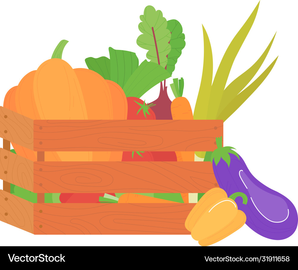 Handmade vegetable box concept farmer plant Vector Image