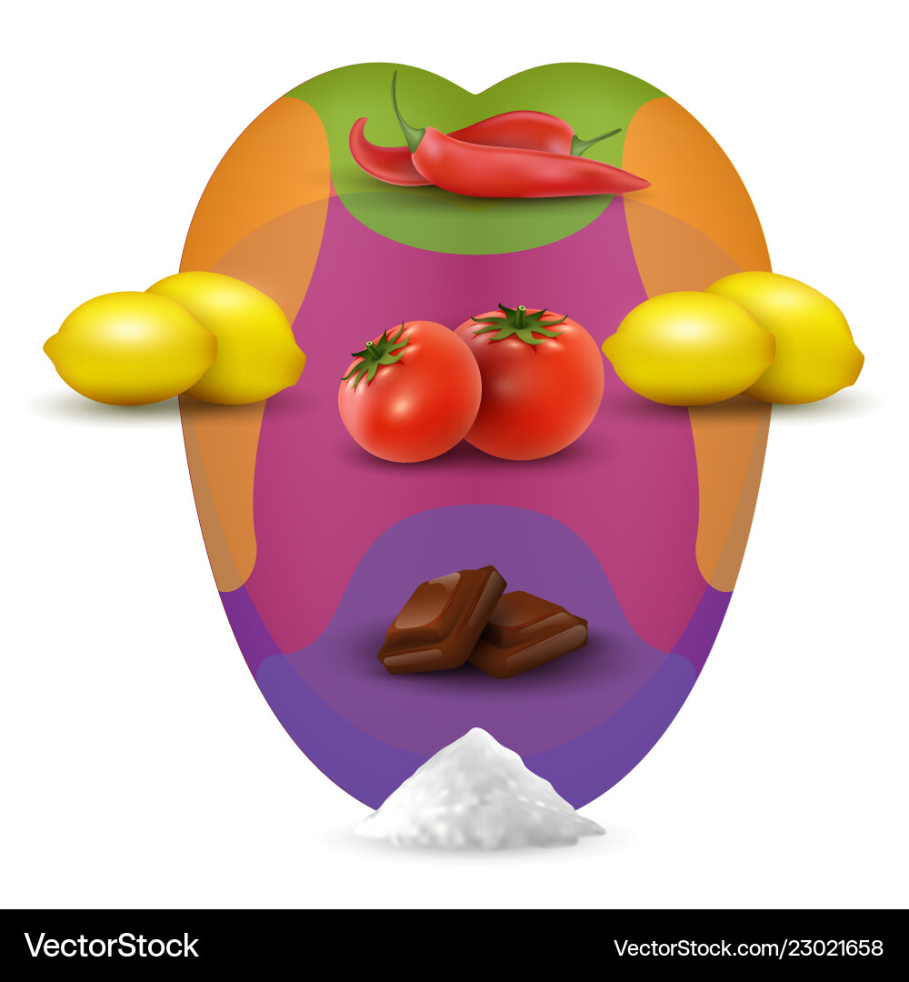 Visual tasting map in human mouth with food Vector Image