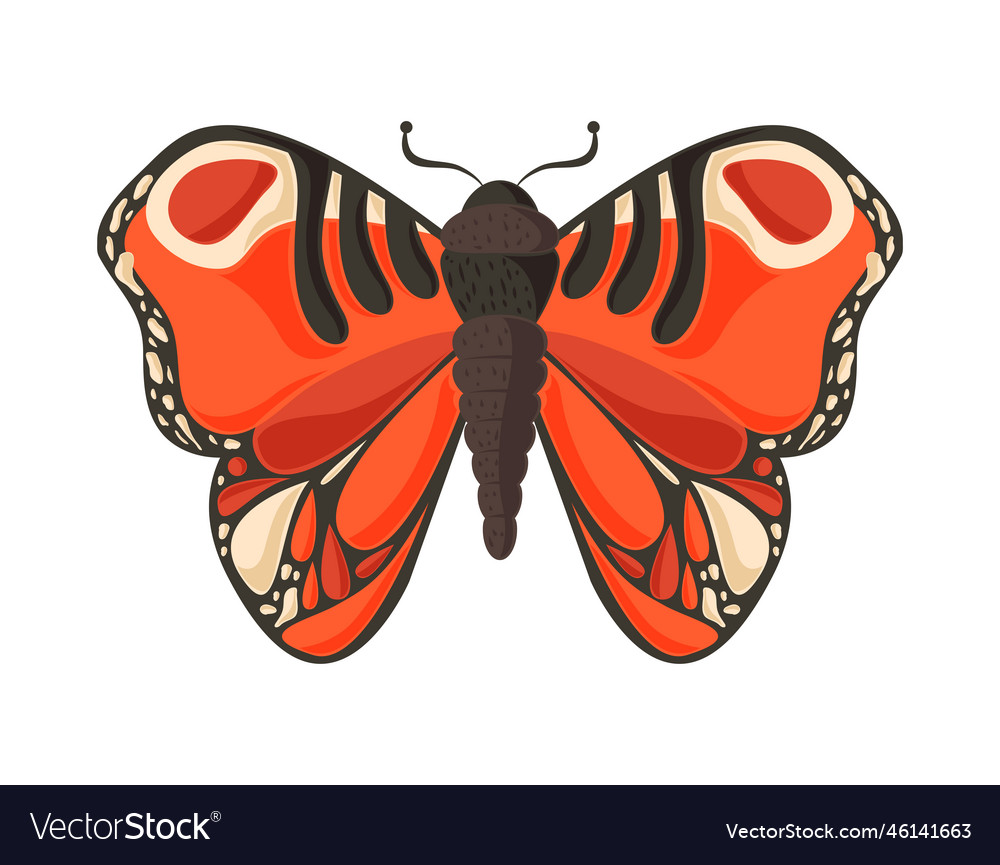 Butterfly flat style Royalty Free Vector Image