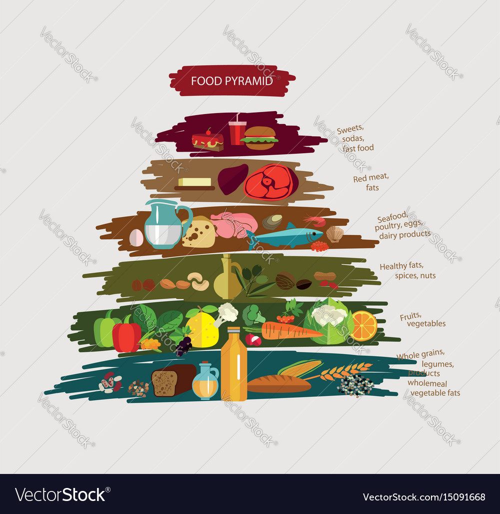 Food pyramid Royalty Free Vector Image - VectorStock